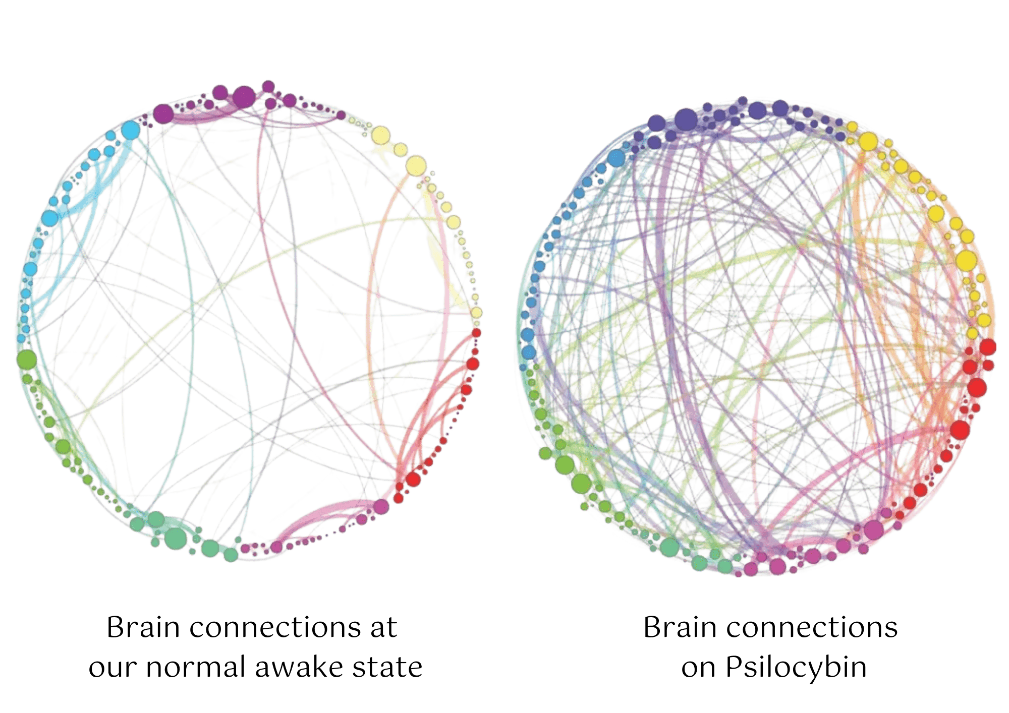 Our Approach - Evolving Temple