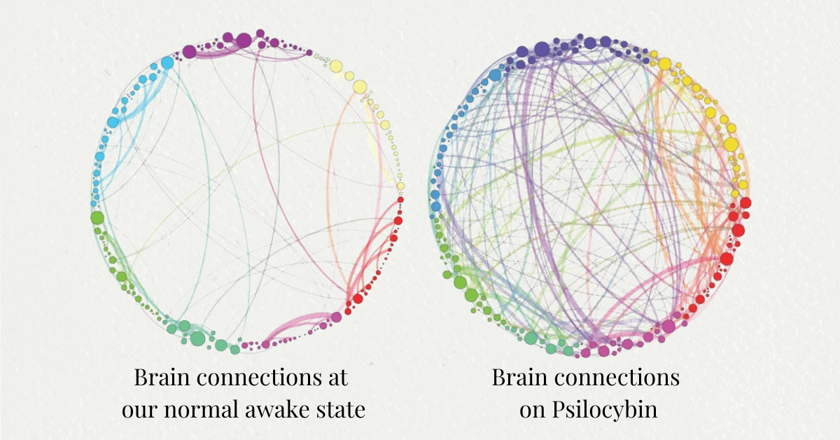 Psychedelic Retreat - Evolving Temple